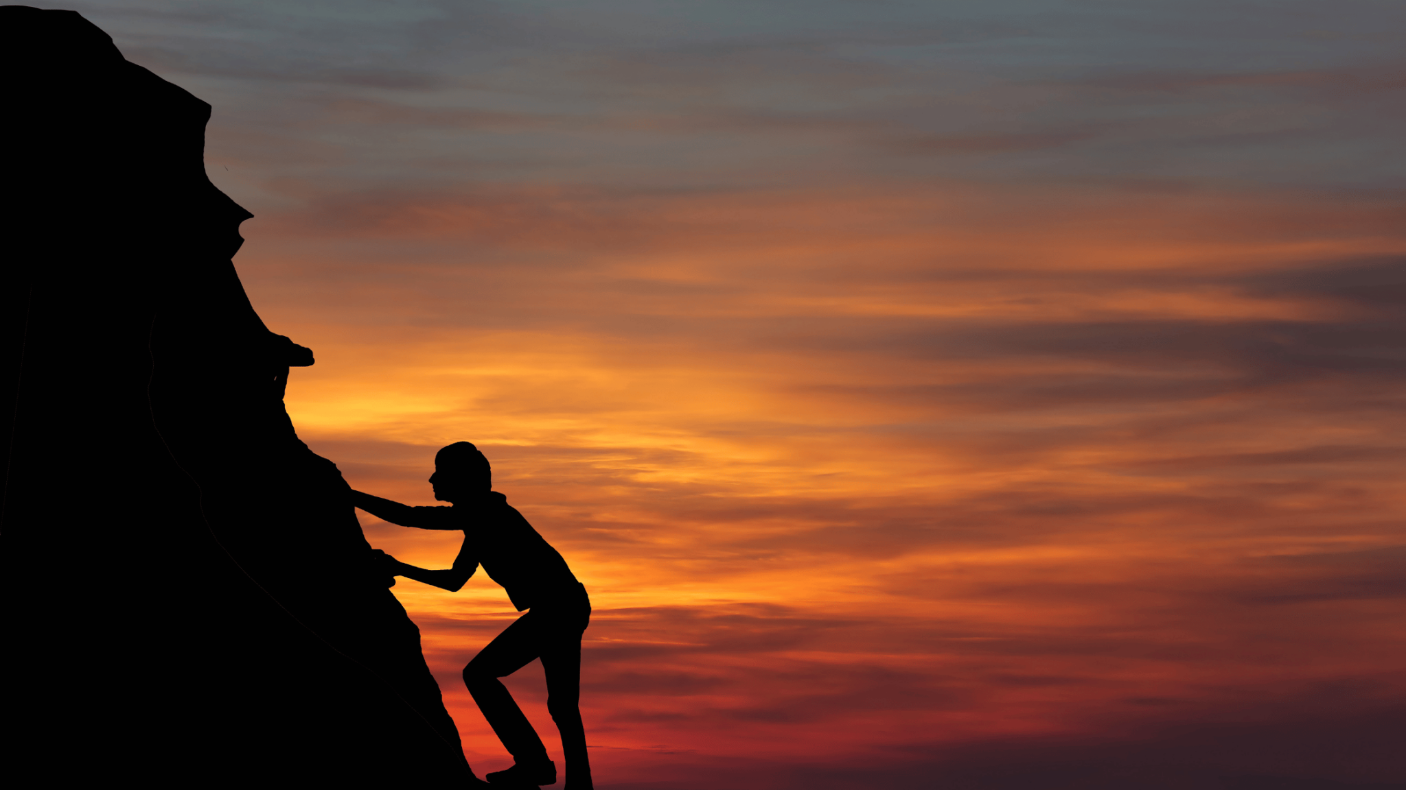 Blue Diamond | Coach for Accountants & Finance Professionals